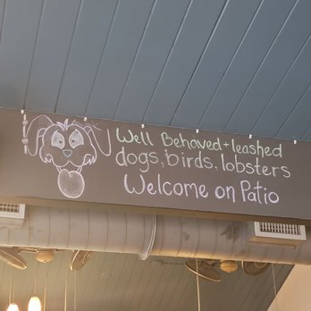 TOO COOL CAFE - 511 Photos & 563 Reviews - 2051 S Patrick Dr, Indian ...