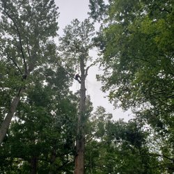 BORI TREE & LAWN - Request a Quote - 14 Photos - Wendell, NC - Yelp