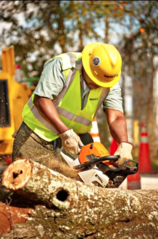 THE DAVEY TREE EXPERT COMPANY - 14 Photos - 954 Des Peres Ave, Webster ...