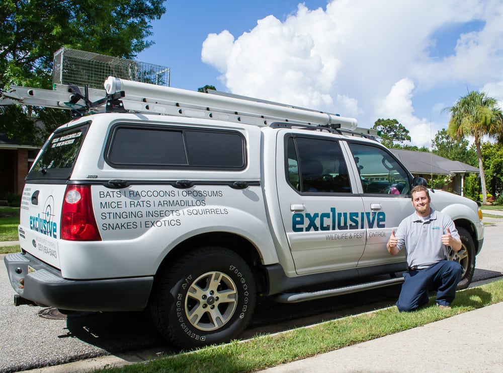 EXCLUSIVE WILDLIFE AND PEST CONTROL - Updated August 2025 - 662 ...