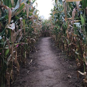 SALISBURY FARM - Updated July 2025 - 100 Photos & 35 Reviews - 11 Peck ...