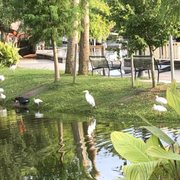 SIMS PARK - 63 Photos & 33 Reviews - Parks - Bank St And Main St, New ...