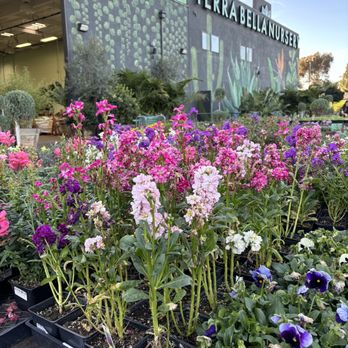 TERRA BELLA NURSERY - Updated May 2024 - 184 Photos & 44 Reviews - 3535 Camino Del Rio W, San ...