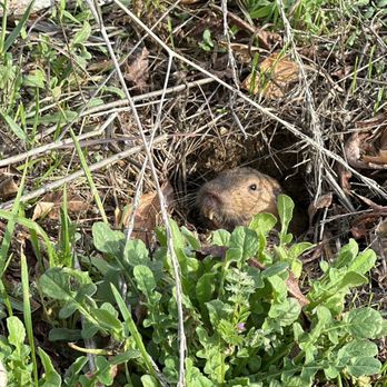 WILACRE PARK - Updated December 2025 - 446 Photos & 177 Reviews - 3431 ...