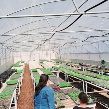 BLOOM RANCH OF ACTON - Updated June 2025 - 174 Photos & 66 Reviews ...