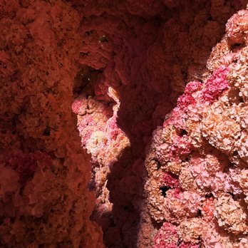 MERCER LABS - Updated August 2024 - 158 Photos & 56 Reviews - 21 Dey St ...