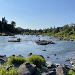 HECETA BEACH RV PARK - Updated October 2025 - 70 Photos & 79 Reviews ...