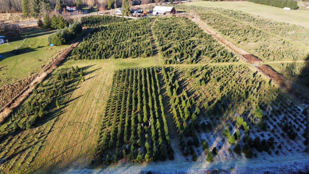 LOCHSLOY ACRES - Updated December 2024 - 22 Reviews - 5511 State Rd 92 ...