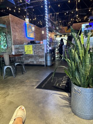 GUAC TACO STUDIO - Updated April 2025 - 97 Photos & 59 Reviews - 5370 ...