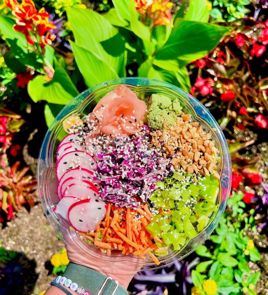 POKEMOTO - Updated January 2026 - 23 Photos - 460 Old Trolley Rd ...