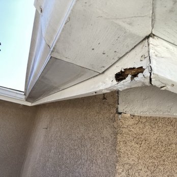 DRIP GUTTERS SERVICE - Updated March 2025 - 79 Photos & 35 Reviews ...