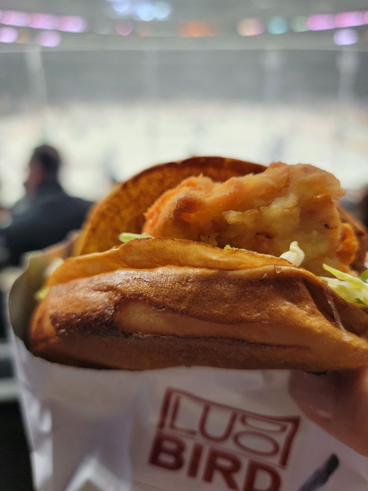 LUDOBIRD - Updated December 2025 - 142 Photos & 108 Reviews - 1111 S ...
