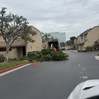 PROGRESSIVE PROPERTY MANAGEMENT - Updated January 2025 - 42 Photos ...