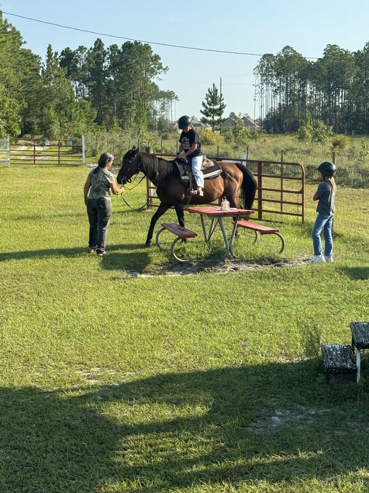 WESTERN PLEASURE RIDING STABLES & CARRIAGES - Updated December 2025 ...