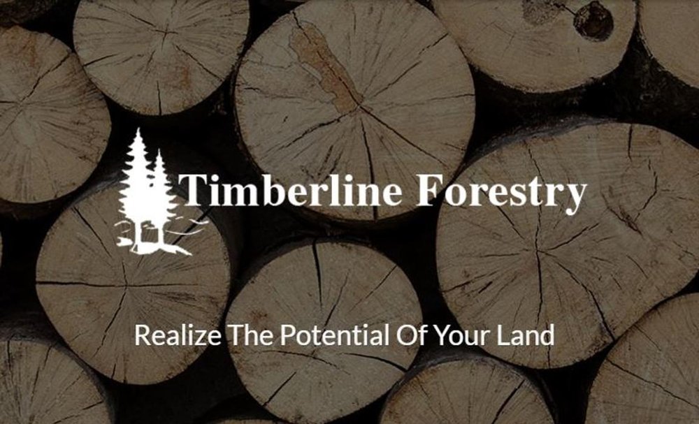 TIMBERLINE FORESTRY - Updated January 2026 - 12 Photos - 902 Collins Rd ...