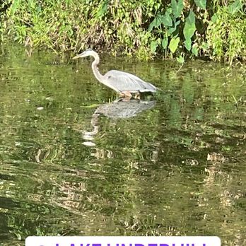 LAKE UNDERHILL PARK - Updated December 2025 - 165 Photos & 37 Reviews ...