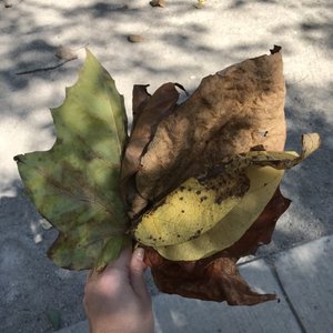 INDIAN RIFFLE PARK - Updated June 2025 - 2801 E Stroop Rd, Kettering ...