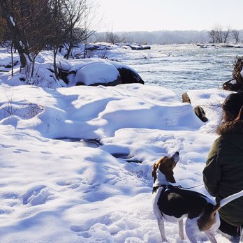 RICHMOND SPCA - Updated December 2025 - 64 Photos & 63 Reviews - 2519 ...