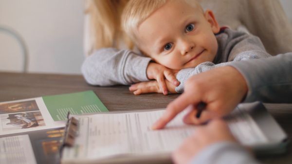 HOMESHIELD PEST CONTROL - Updated December 2025 - 233 Photos & 1245 ...