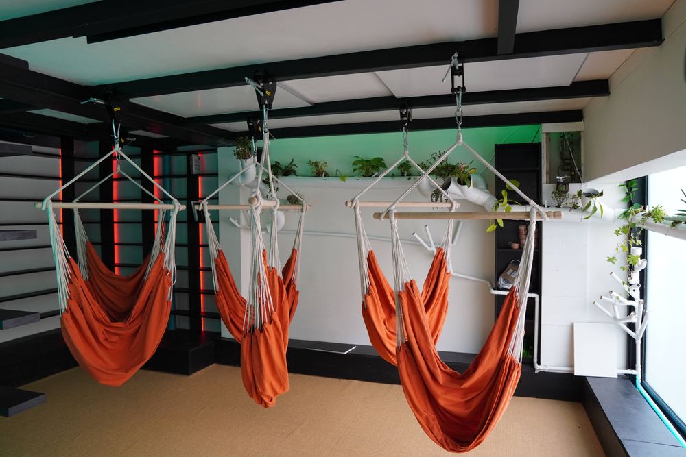 MEISO - LE CENTRE DE FLOTTAISON - Updated May 2024 - 8 rue Albert ...