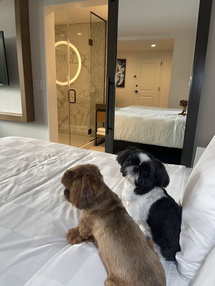 HOTEL HARTNESS - 120 Halston Ave, Greenville, South Carolina - Hotels ...