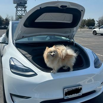 TESLA - BROOKLYN - Updated December 2025 - 30 Photos & 44 Reviews - 160 ...