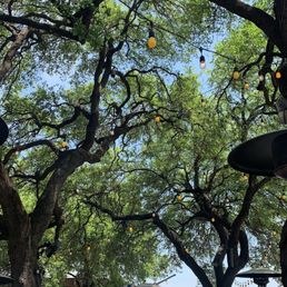 PERLA’S - Updated November 2025 - 2203 Photos & 2041 Reviews - 1400 S ...