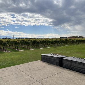 REIF ESTATES WINERY - Updated January 2026 - 270 Photos & 133 Reviews ...