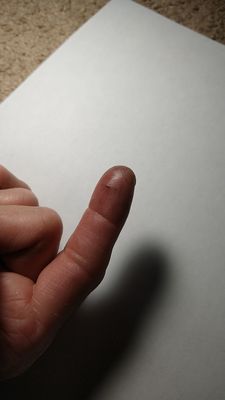 MODERN MUNITIONS - Updated May 2025 - 10 Reviews - 6919 Bristol Pike ...