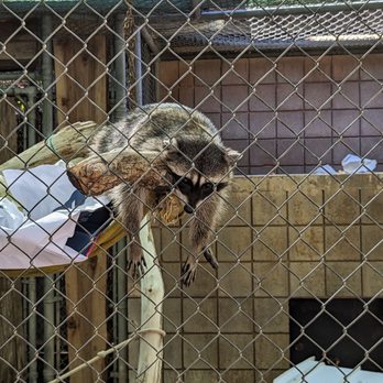 APPLEGATE PARK ZOO - Updated December 2025 - 122 Photos & 54 Reviews ...