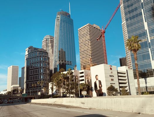 DAVID CEDENO, DDS, MD - Updated December 2025 - 23 Photos & 87 Reviews ...