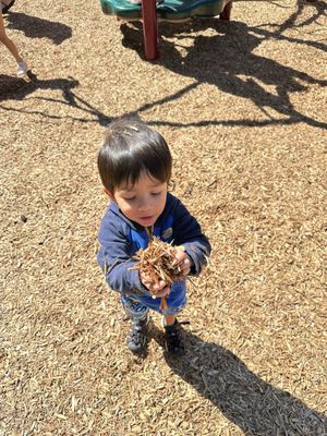 HAZEL MILLER SPRAY PARK - Updated November 2025 - 14 Photos - 600 3rd ...