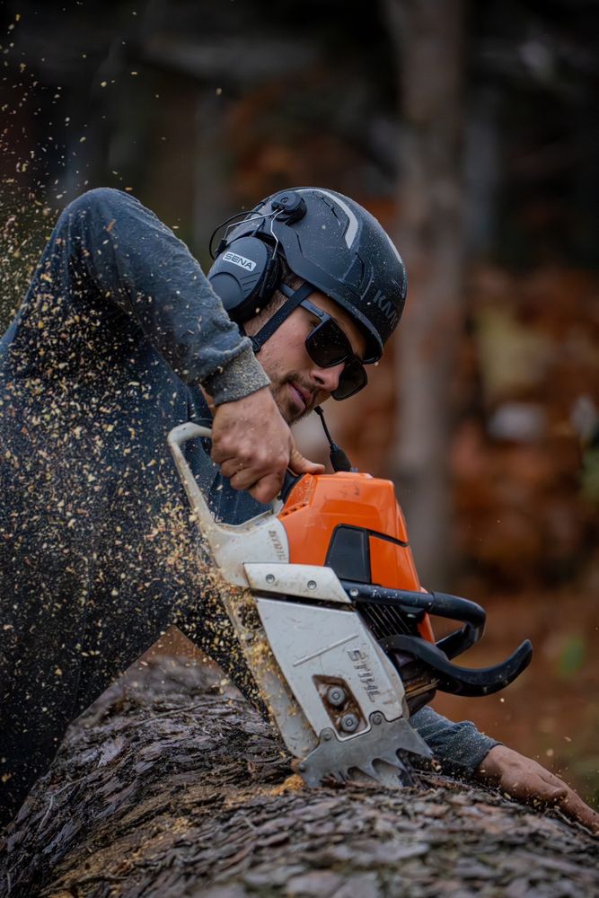 KONO TREE CARE - Updated January 2026 - 14 Photos - 3841 Buckhorn Pl ...