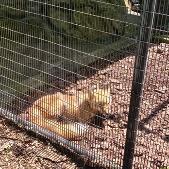 TRAILSIDE MUSEUMS & ZOO - Updated November 2025 - 188 Photos & 34 ...