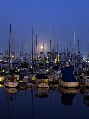 THE LOOKOUT BAR & GRILL - Updated March 2025 - 299 Photos & 324 Reviews ...