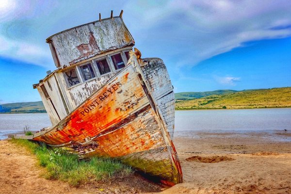 POINT REYES NATIONAL SEASHORE - 1599 Photos & 391 Reviews - 1 Bear ...