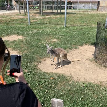 BOULDER RIDGE WILD ANIMAL PARK - Updated January 2026 - 156 Photos & 61 ...