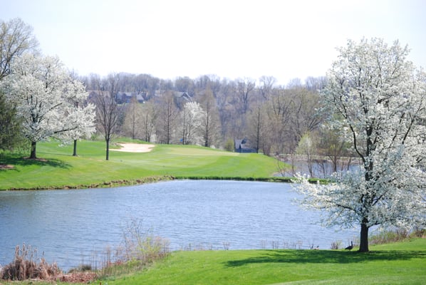 BOONE LINKS GOLF COURSE - Updated January 2026 - 20 Photos & 10 Reviews ...