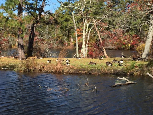 BIRCH GROVE PARK - Updated December 2025 - 21 Photos - 1700 Burton Ave ...