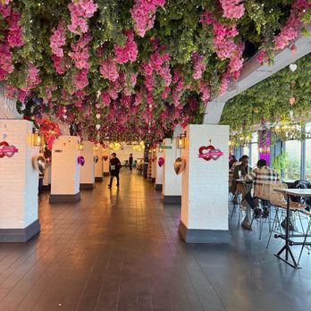 SOUTH HOUSE GARDEN - Updated June 2025 - 567 Photos & 261 Reviews - 317 ...