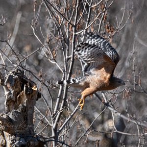 RILEY’S APPLE FARM - 297 Photos & 181 Reviews - 12201 S Oak Glen Rd ...