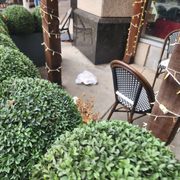 SUGAR FACTORY - 1220 Photos & 670 Reviews - 1080 Peachtree St NE ...