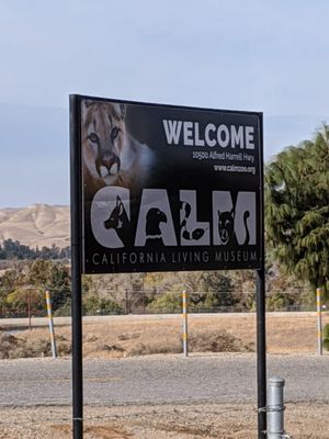 CALM ZOO - 454 Photos & 142 Reviews - 10500 Alfred Harrell Hwy ...