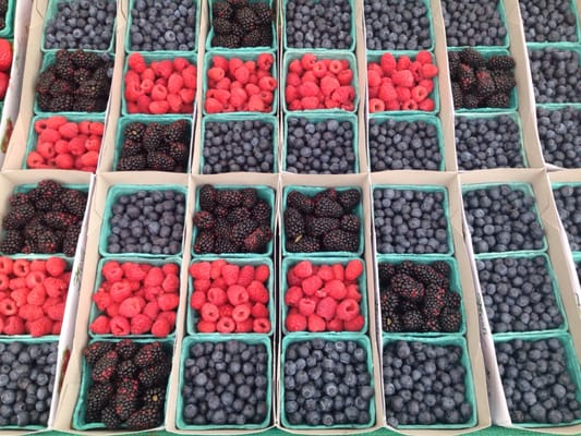 THE COLLECTION FARMERS MARKET - Updated September 2025 - 2751 Park View ...