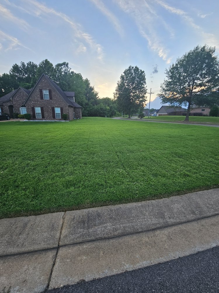 TOP NOTCH LAWN SERVICES - Updated December 2025 - 48 Photos - Horn Lake ...