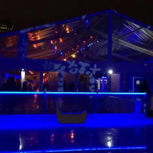 LEE VALLEY ICE CENTRE - Updated March 2025 - 35 Photos - Lea Bridge ...