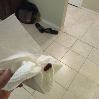 FLORIDA REALTY INVESTMENTS - Updated October 2025 - 80 Photos & 92 ...