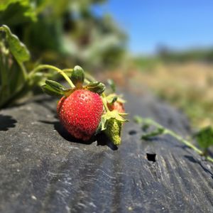 CRYSTAL BAY FARM - Updated April 2025 - 147 Photos & 72 Reviews - 40 ...