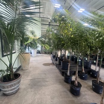 TERRA BELLA NURSERY - Updated January 2025 - 363 Photos & 118 Reviews - 3535 Camino Del Rio W ...