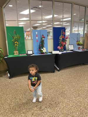 BOONE COUNTY PUBLIC LIBRARY - MAIN LIBRARY - Updated July 2025 - 35 ...